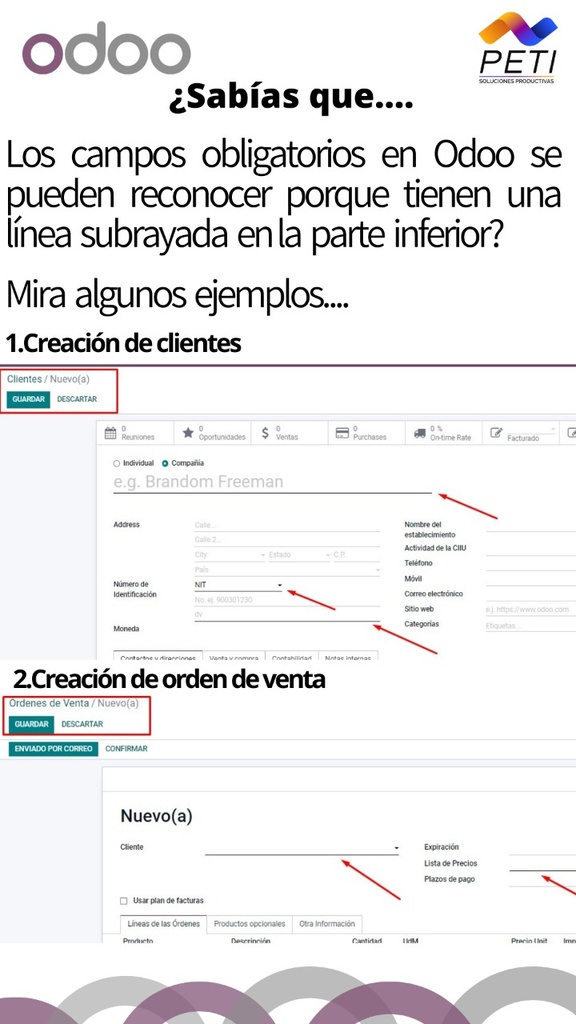 Campos obligatorios | PETI Soluciones Productivas